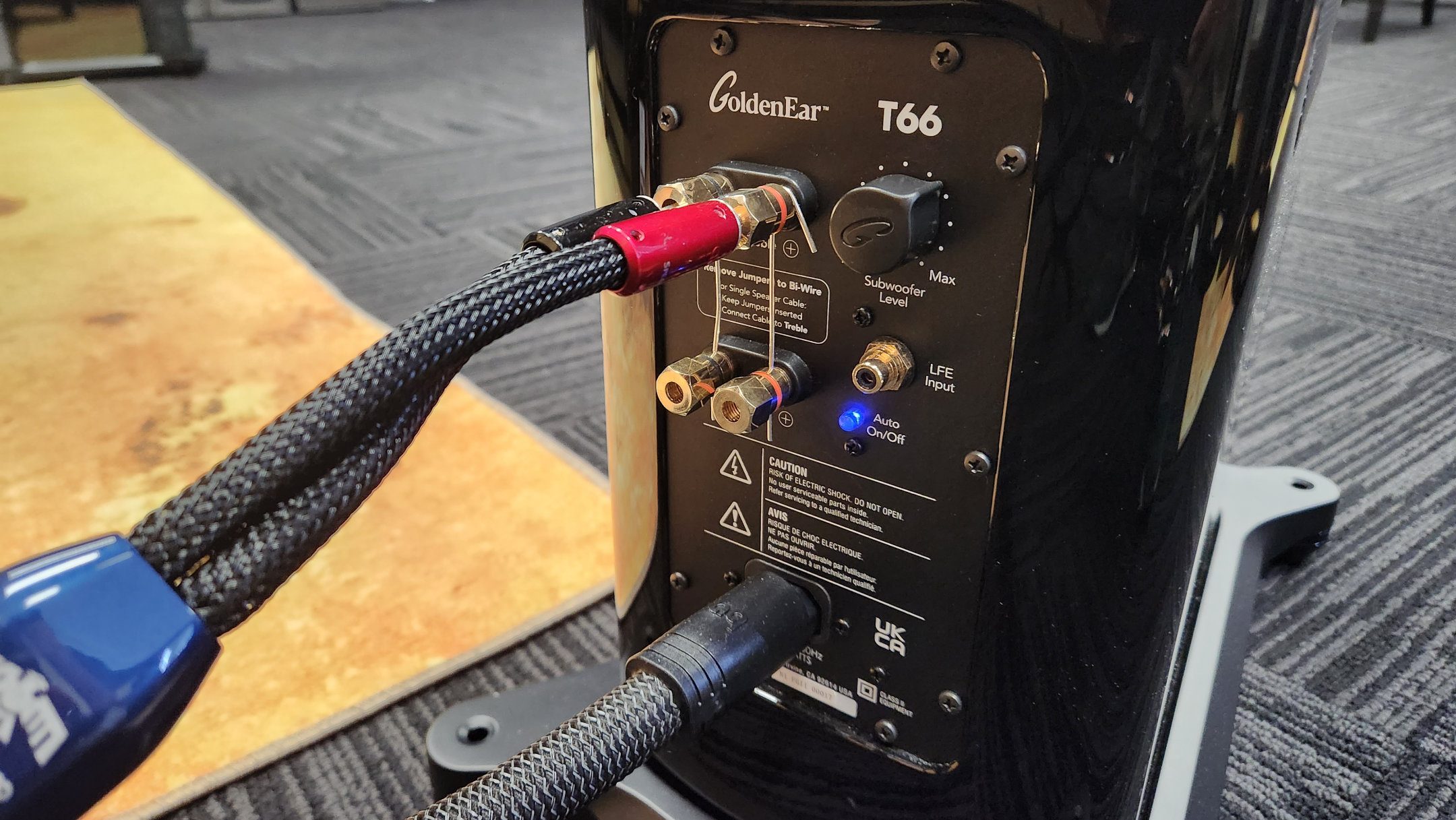 Review: GoldenEar T66 - Kamervullende passie | FWD