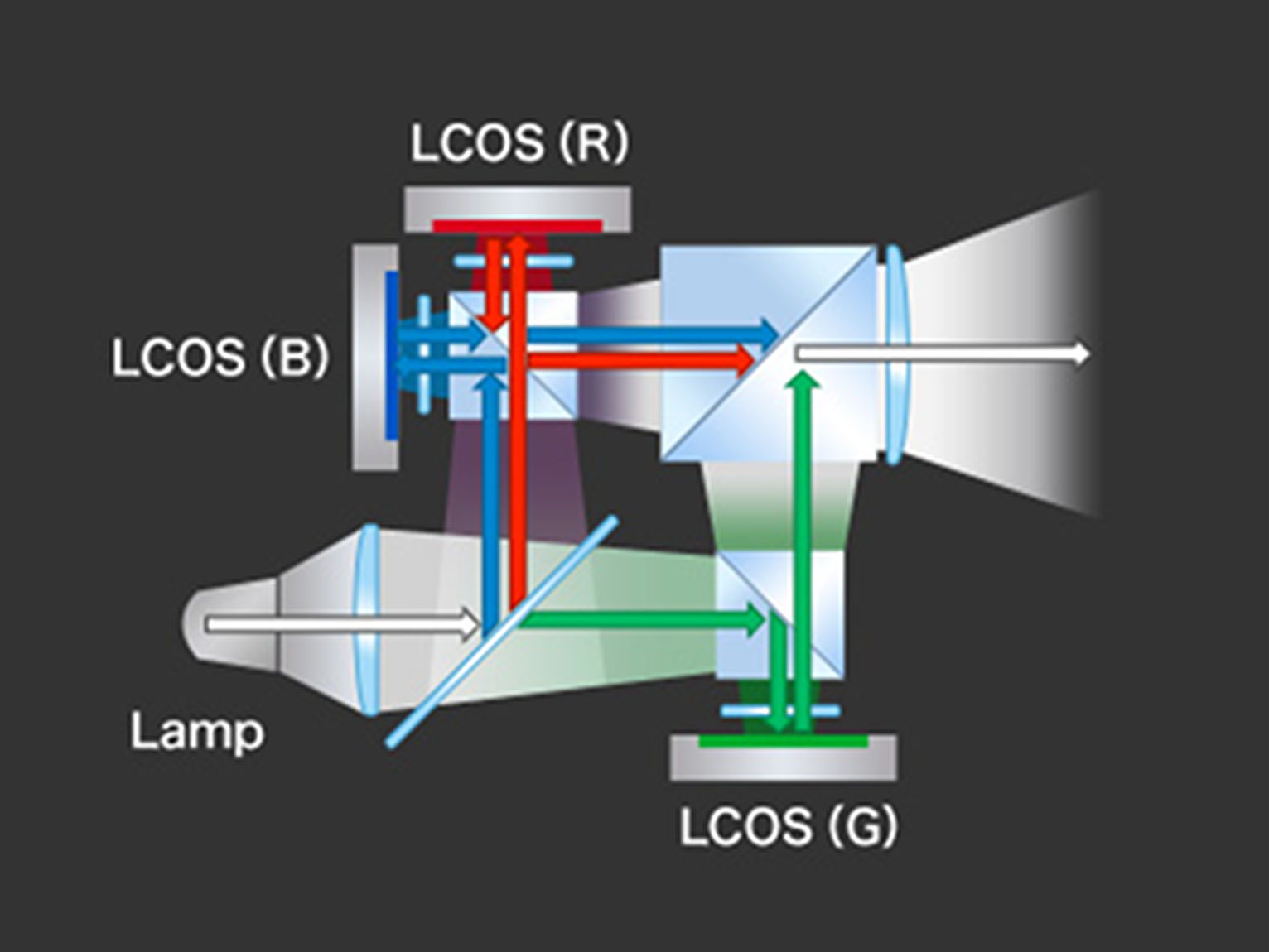 Een projector of beamer kopen: de technische basiskennis | FWD