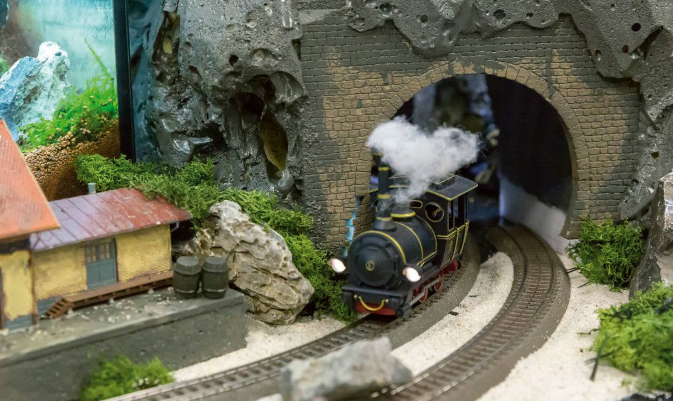 Modelspoorbanen in beweging - Van overzicht en bewegend detail tot ...
