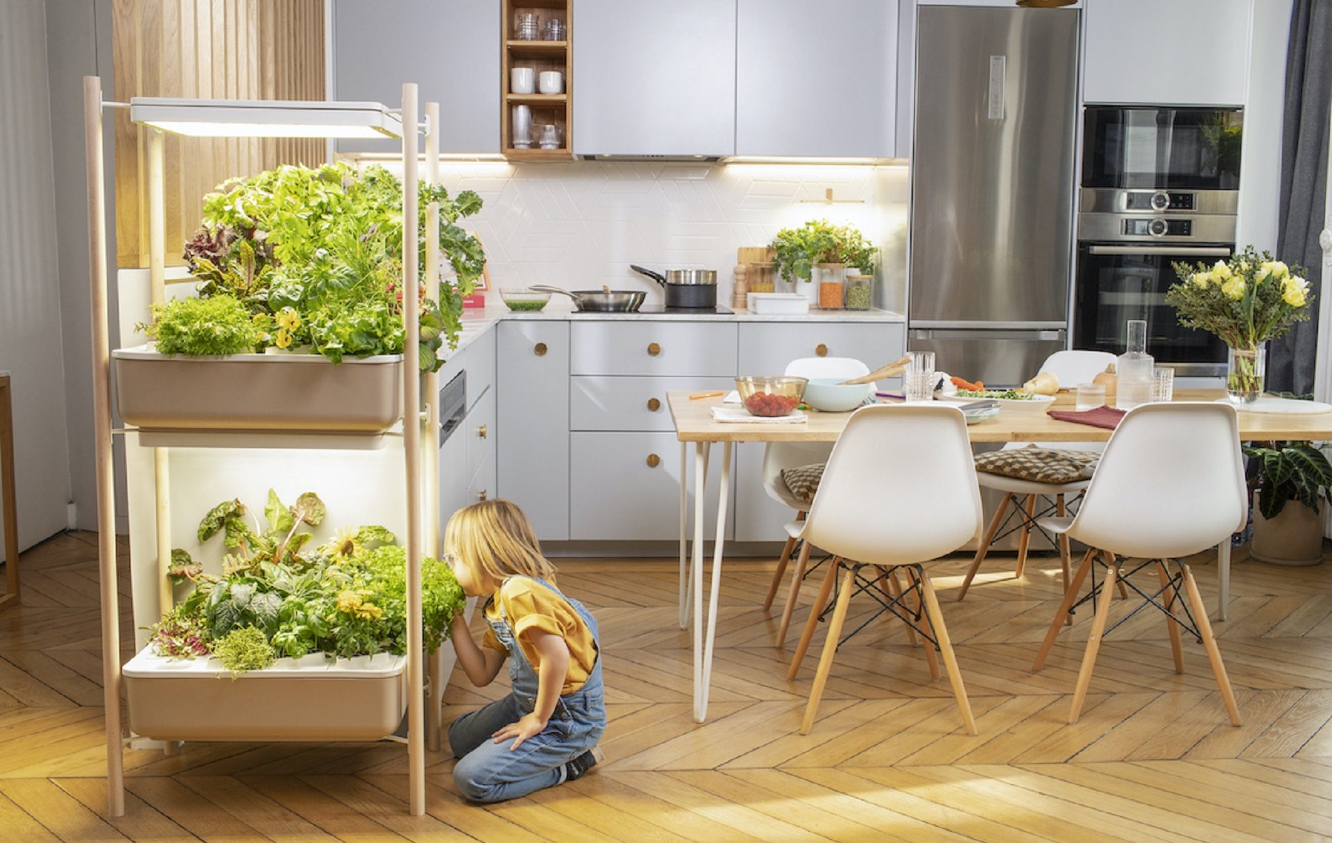 Multo is de nieuwe slimme indoor moestuin | FWD