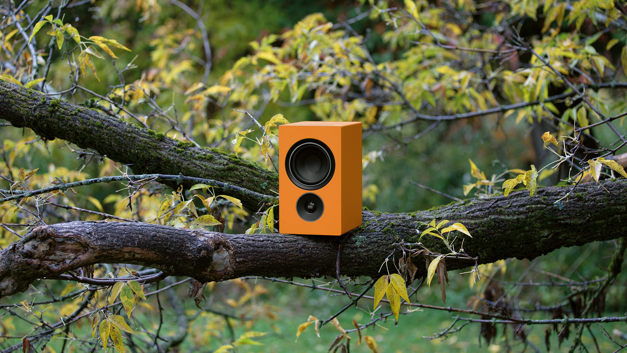 Review: PSB Alpha iQ - Luidspreker tovert glimlach op het gezicht | FWD