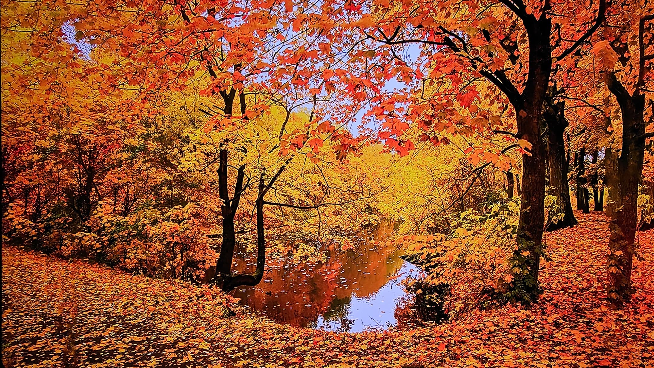 Titan OS: alles dat je moet weten over het Philips smart tv-platform | FWD